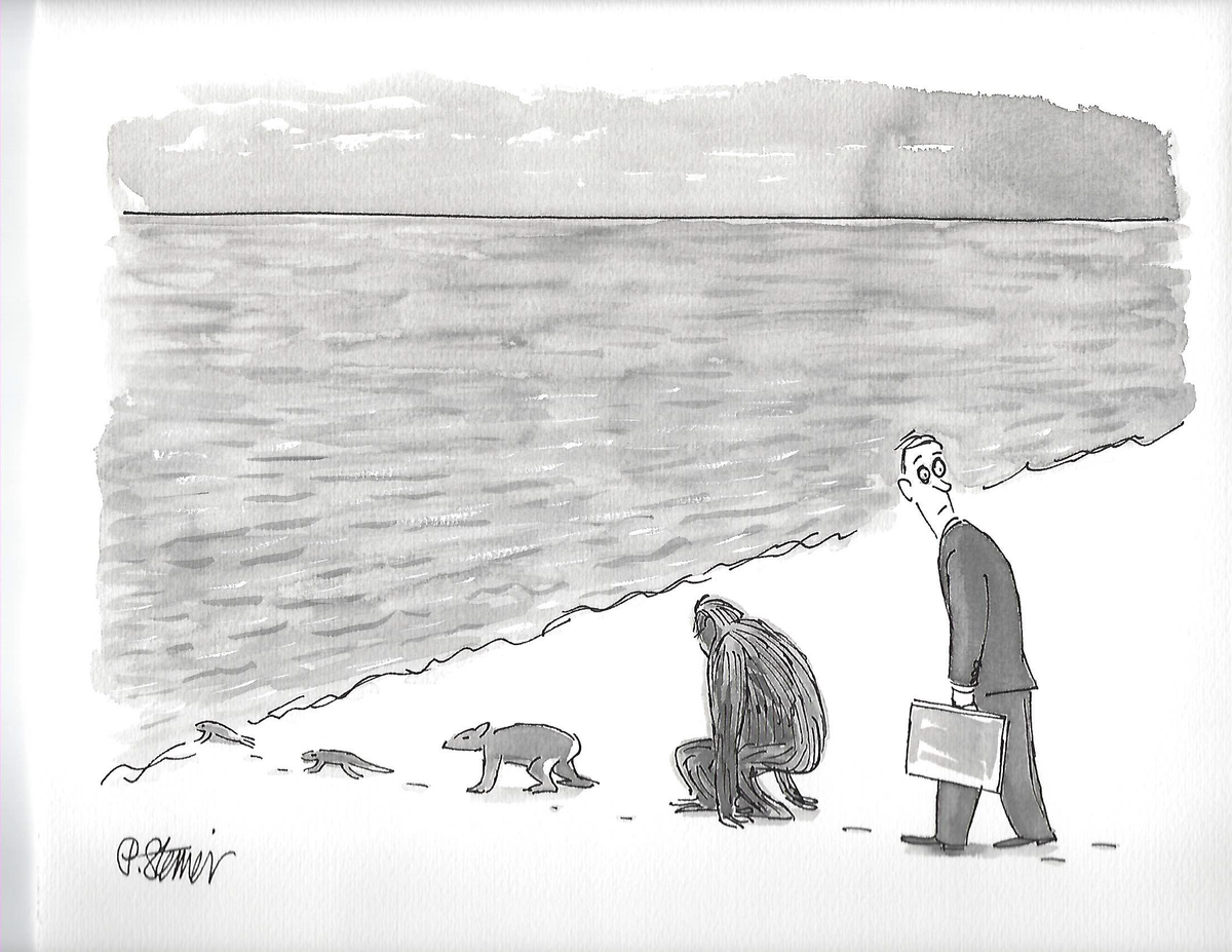 Devolution – Curated Cartoons