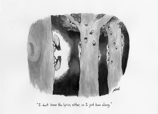 Don't Know The Lyrics – Curated Cartoons