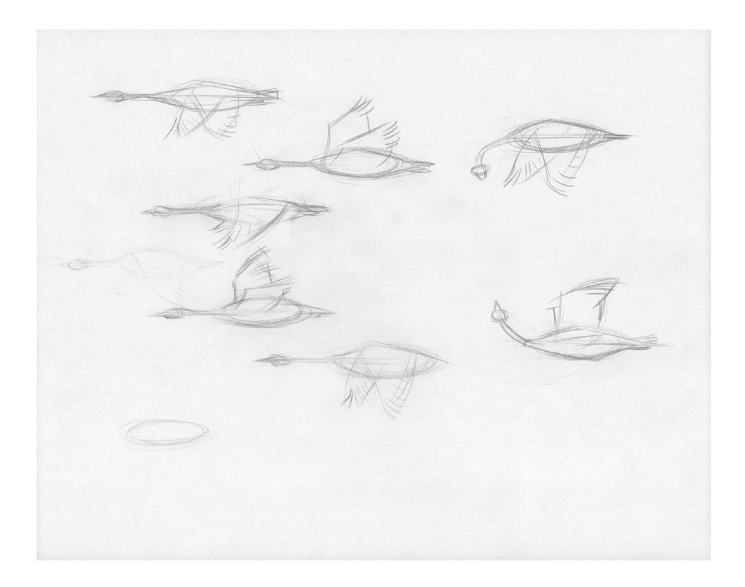 Flying Over Winnepeg (Preliminary) | Original And Unique New Yorker ...